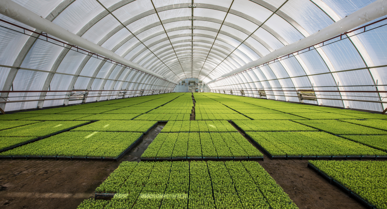 Environmental, Social and Governance - James Cropper
