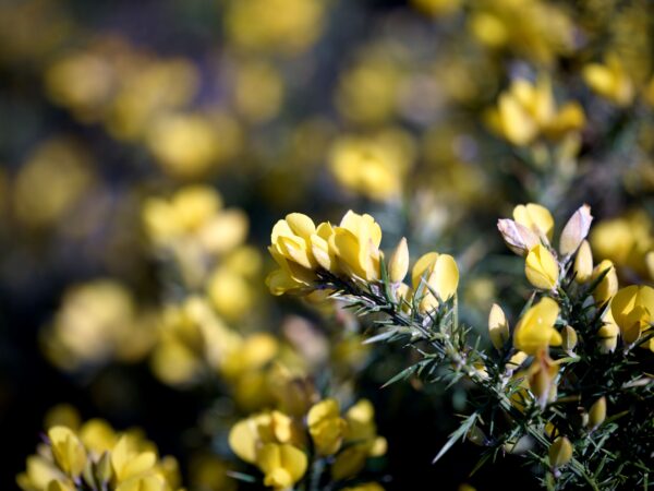 Home - James Cropper