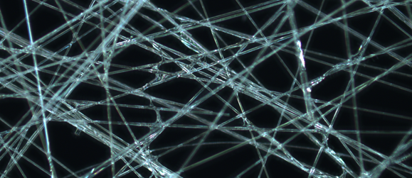 Investors - James Cropper